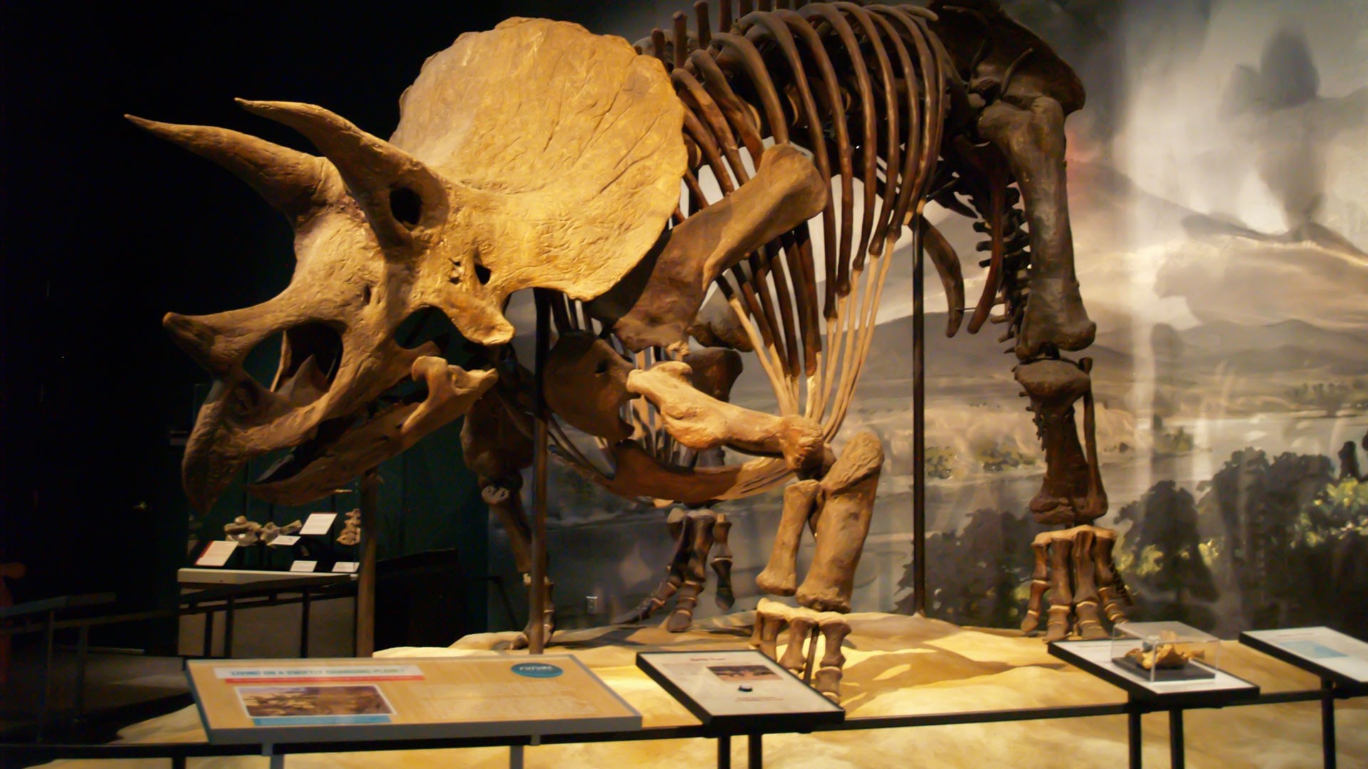 Science Museum of Minnesota | Visit Saint Paul
