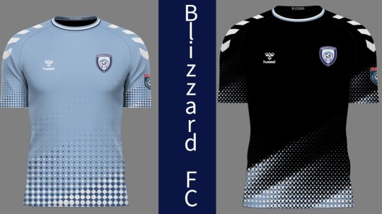Minnesota Blizzard FC | Visit Saint Paul